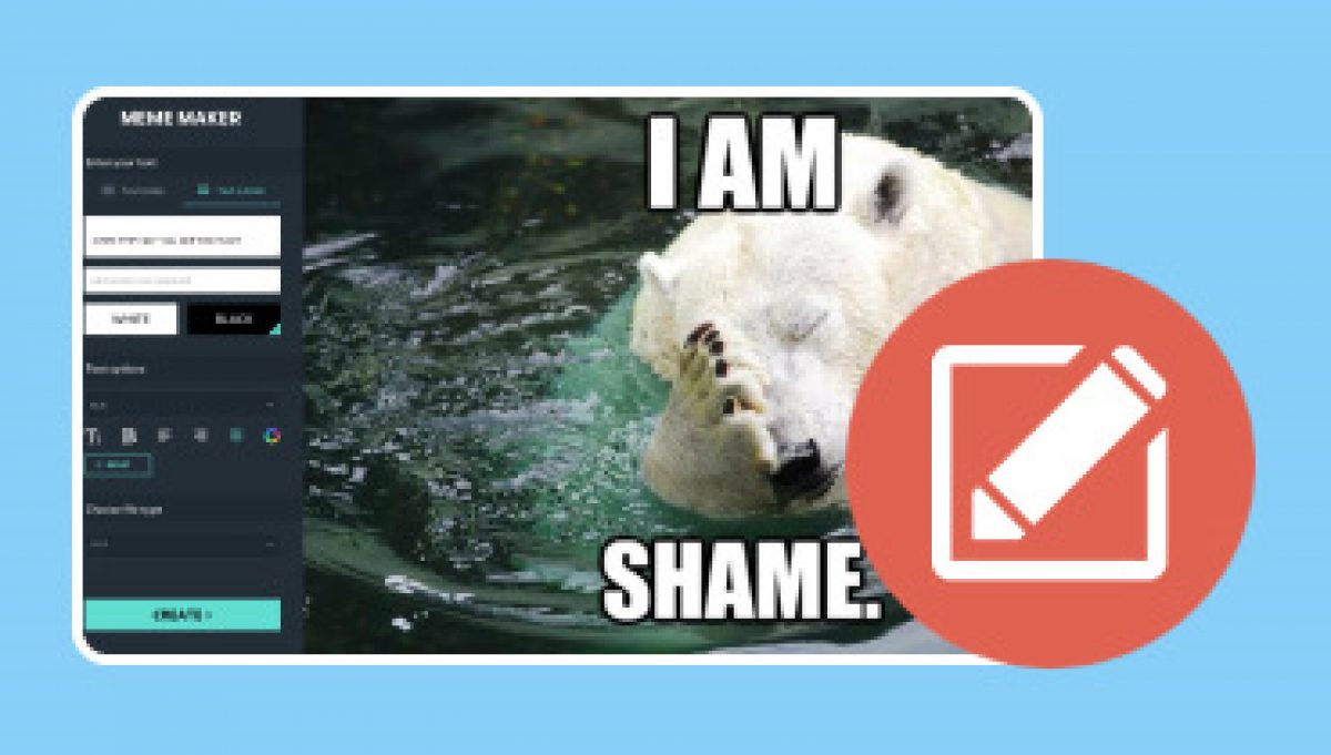 Embarrassed Meme Polar Bear