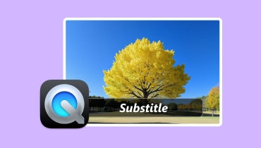 How to Put Subtitle on QuickTime Player Successfully