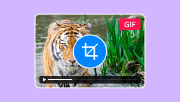 Top 6 GIF Cropper: Choices for Desktop, Mobile, & Online
